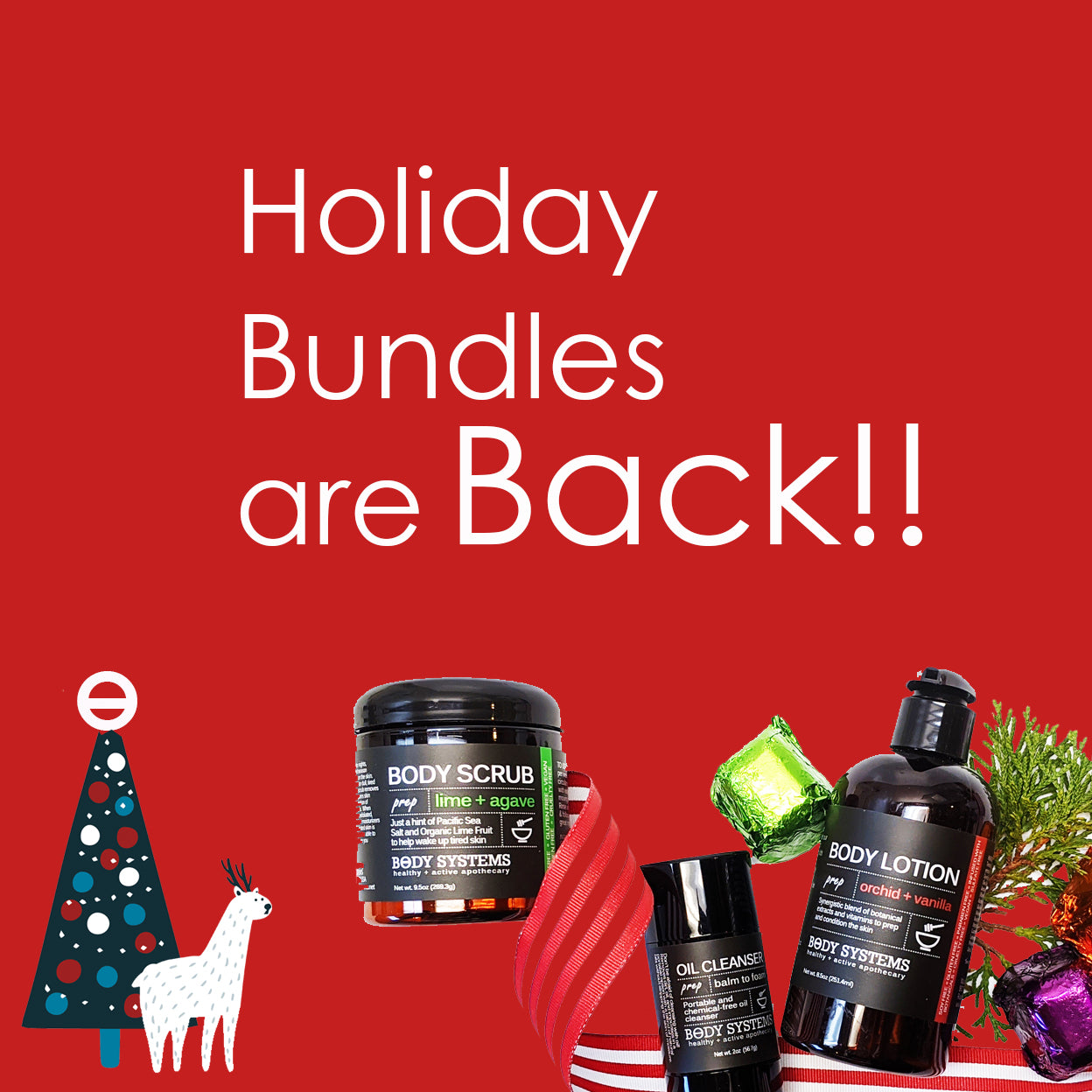 Our Popular Holiday Bundles are BACK! – Body Systems Skincare